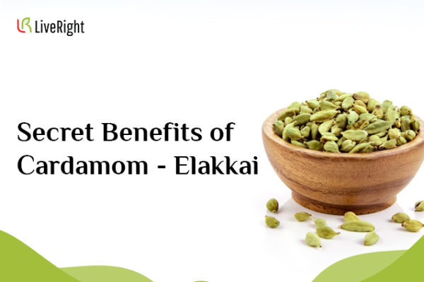 What are the Secret Benefits of Cardamom - Elakkai?